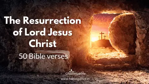 50 Bible Verses About the Resurrection of Jesus Christ - Feeling Alive
